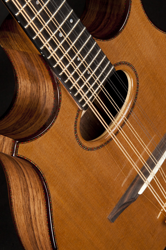 Custom Guitars | 10-string Mandolin | Fylde Guitars