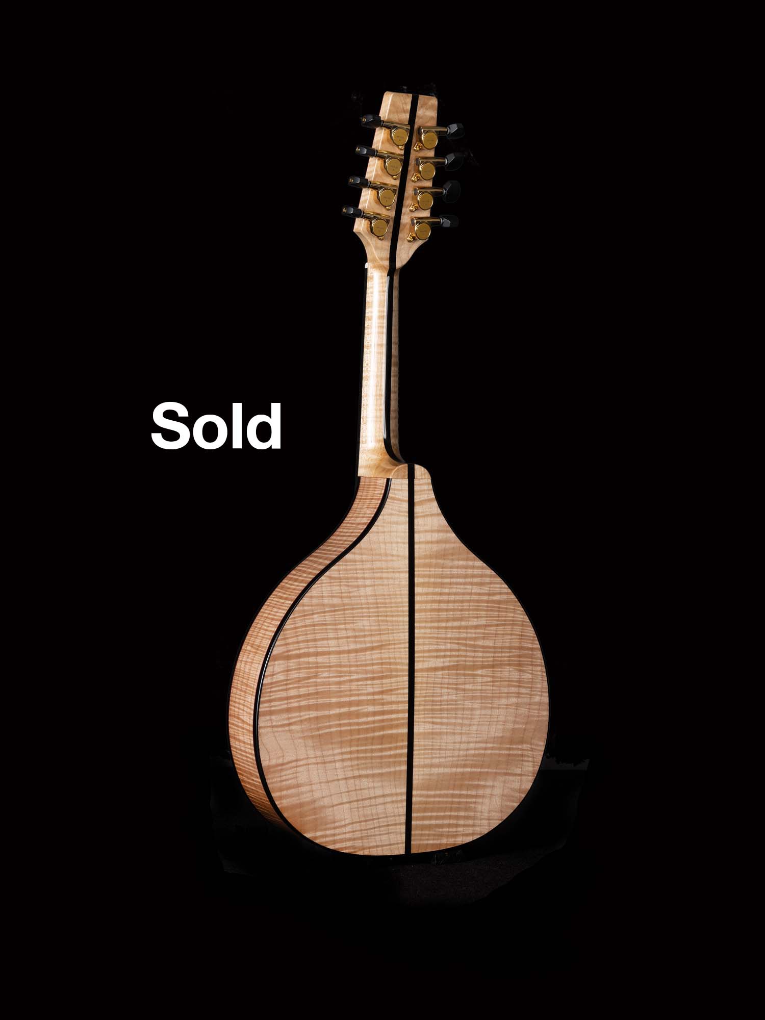 Welcome to Fylde Guitars Newsletter